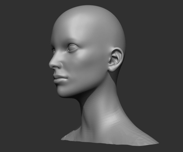 ArtStation - Female Head Realistic Base Mesh 3D Model | Game Assets