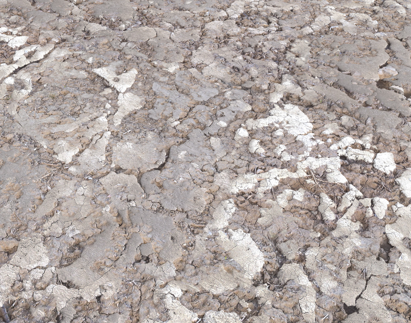 ArtStation - Desert Wasteland ground PBR Pack 2 Textures | Resources