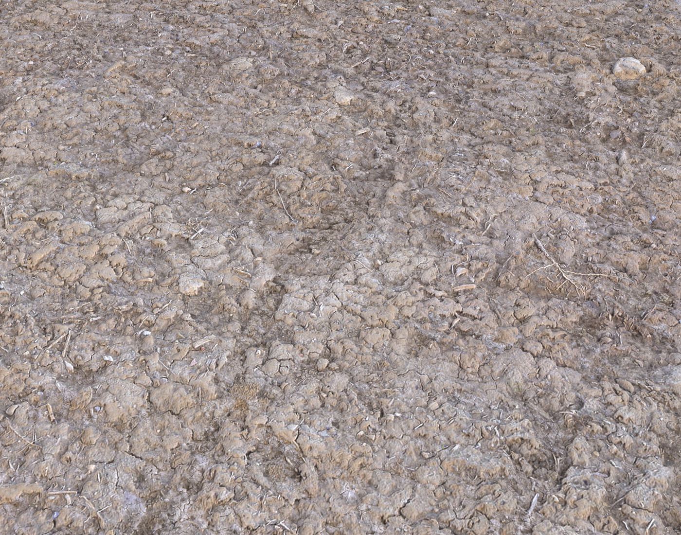 ArtStation - Desert Wasteland ground PBR Pack 2 Textures | Resources