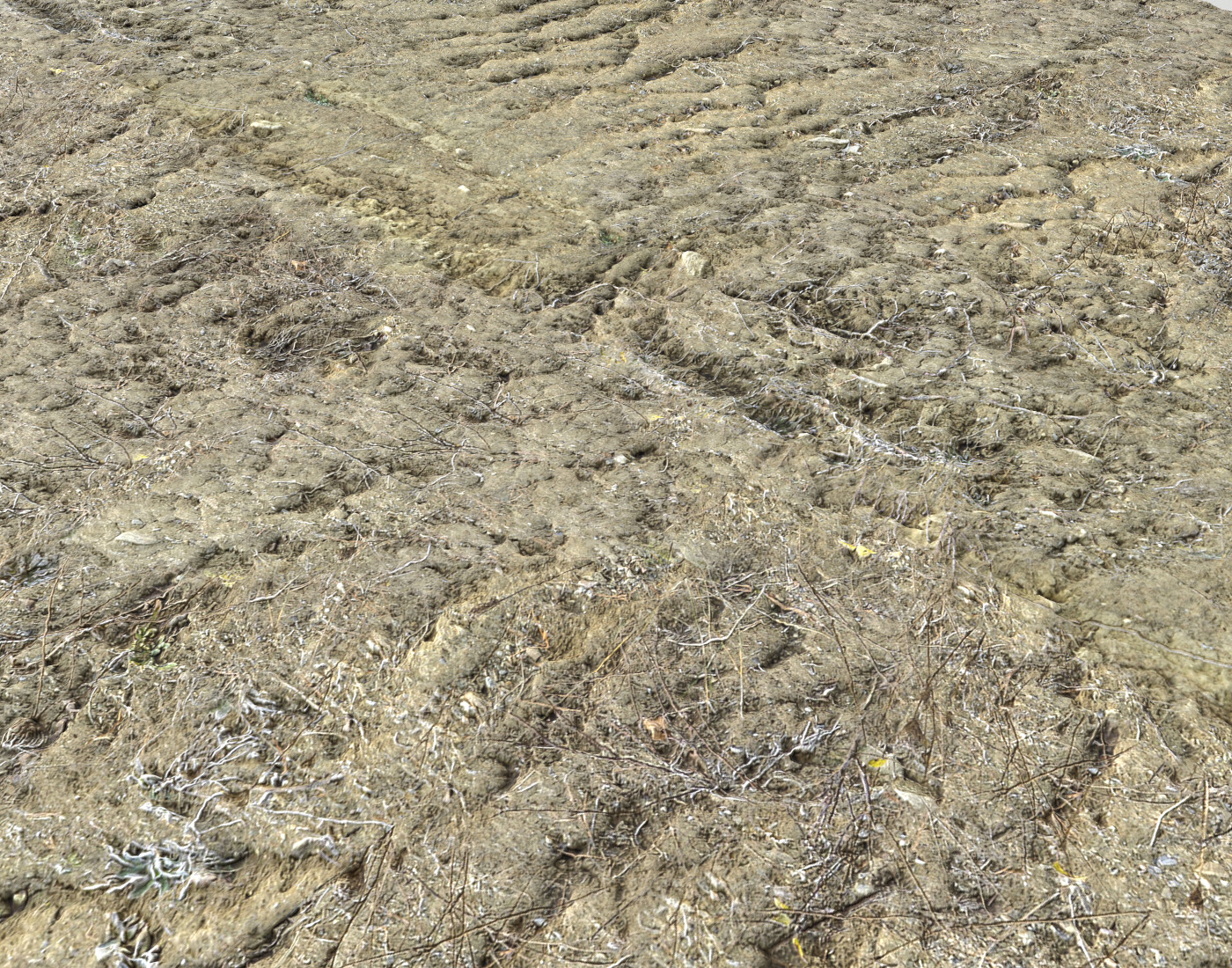 ArtStation - Desert Wasteland ground PBR Pack 3 Textures | Resources