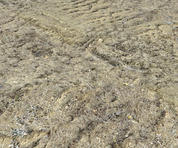 ArtStation - Desert Wasteland ground PBR Pack 3 Textures | Resources