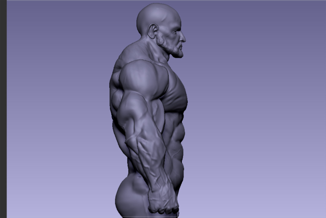 ArtStation - bodybuilder | Resources