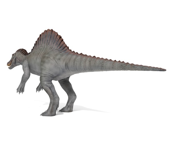 ArtStation - 3D Model: Spinosaurus | Resources