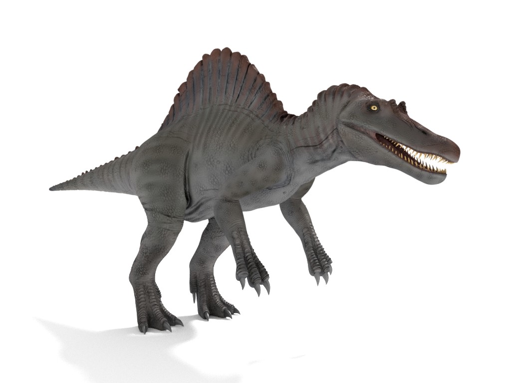 ArtStation - 3D Model: Spinosaurus Rigged | Resources