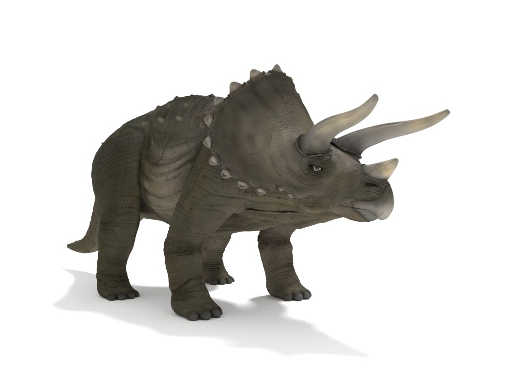 ArtStation - 3D Model: Triceratops | Resources