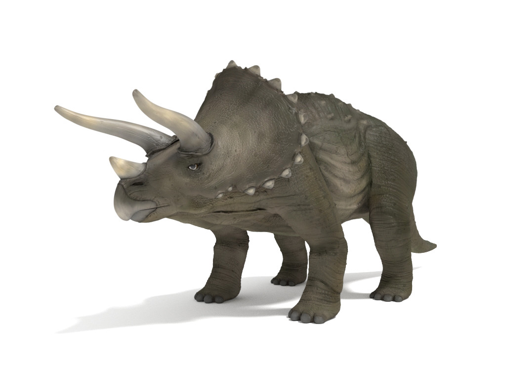 ArtStation - 3D Model: Triceratops Rigged | Resources