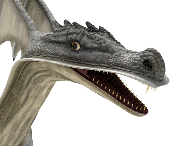 ArtStation - 3D Model: Dragon Rigged | Resources