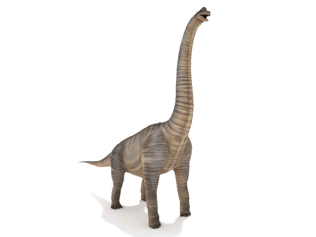 ArtStation - 3D Model: Brachiosaurus | Resources