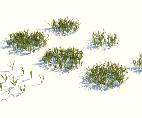 ArtStation - lawn realistic grass | Resources