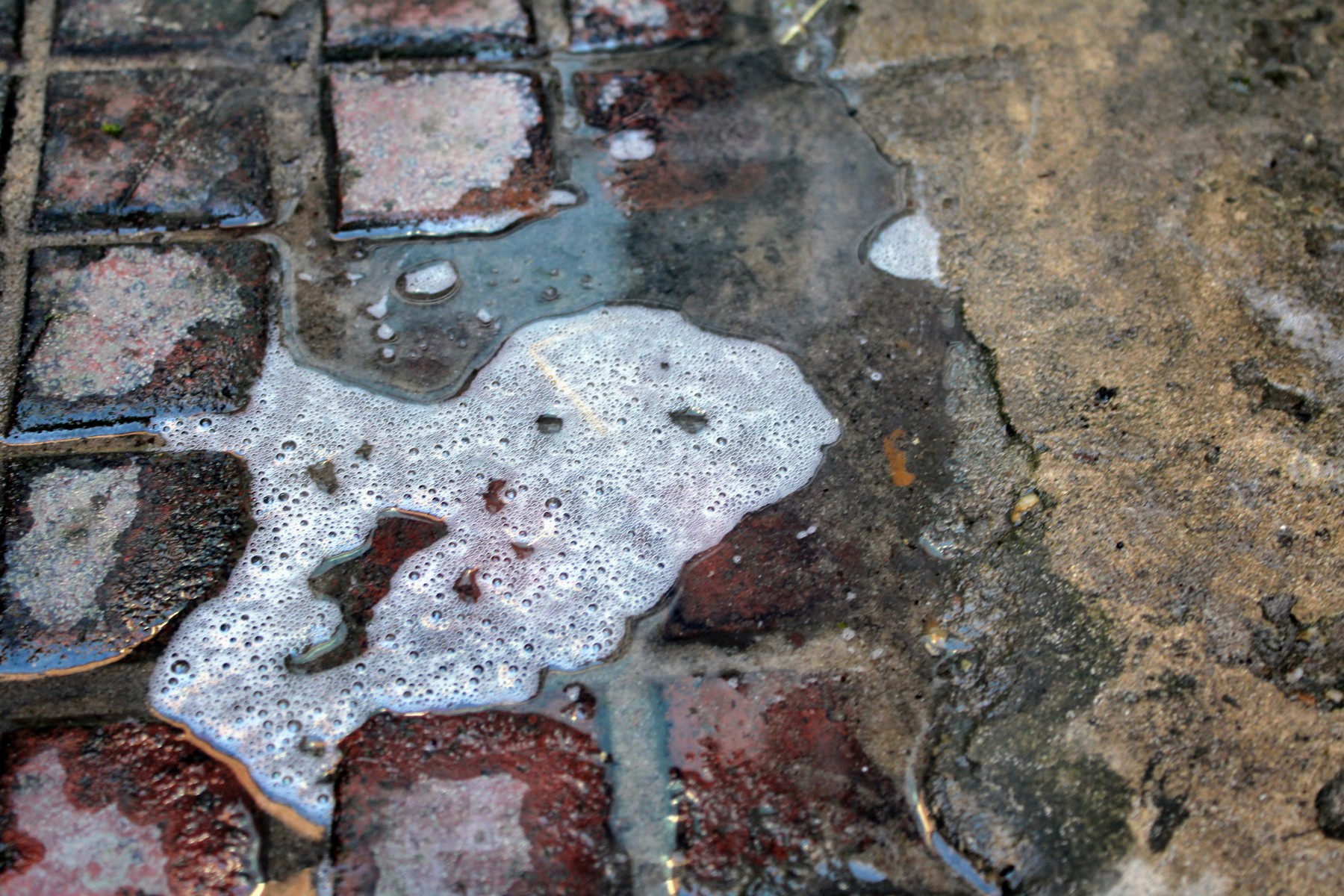 ArtStation - Garden Detritus pack 1 | Resources