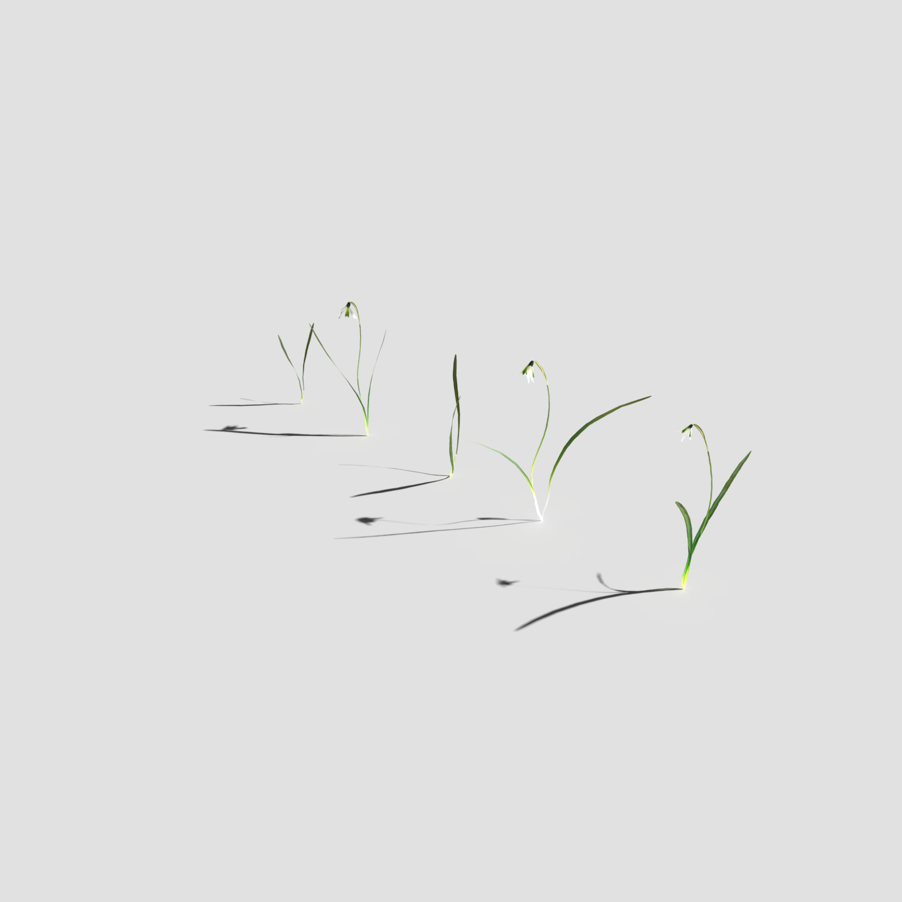 ArtStation - Common Snowdrop Pack | Game Assets