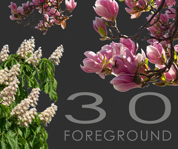 ArtStation - 30 Spring Tree CUTOUTS of Foreground Branches in PNG ...