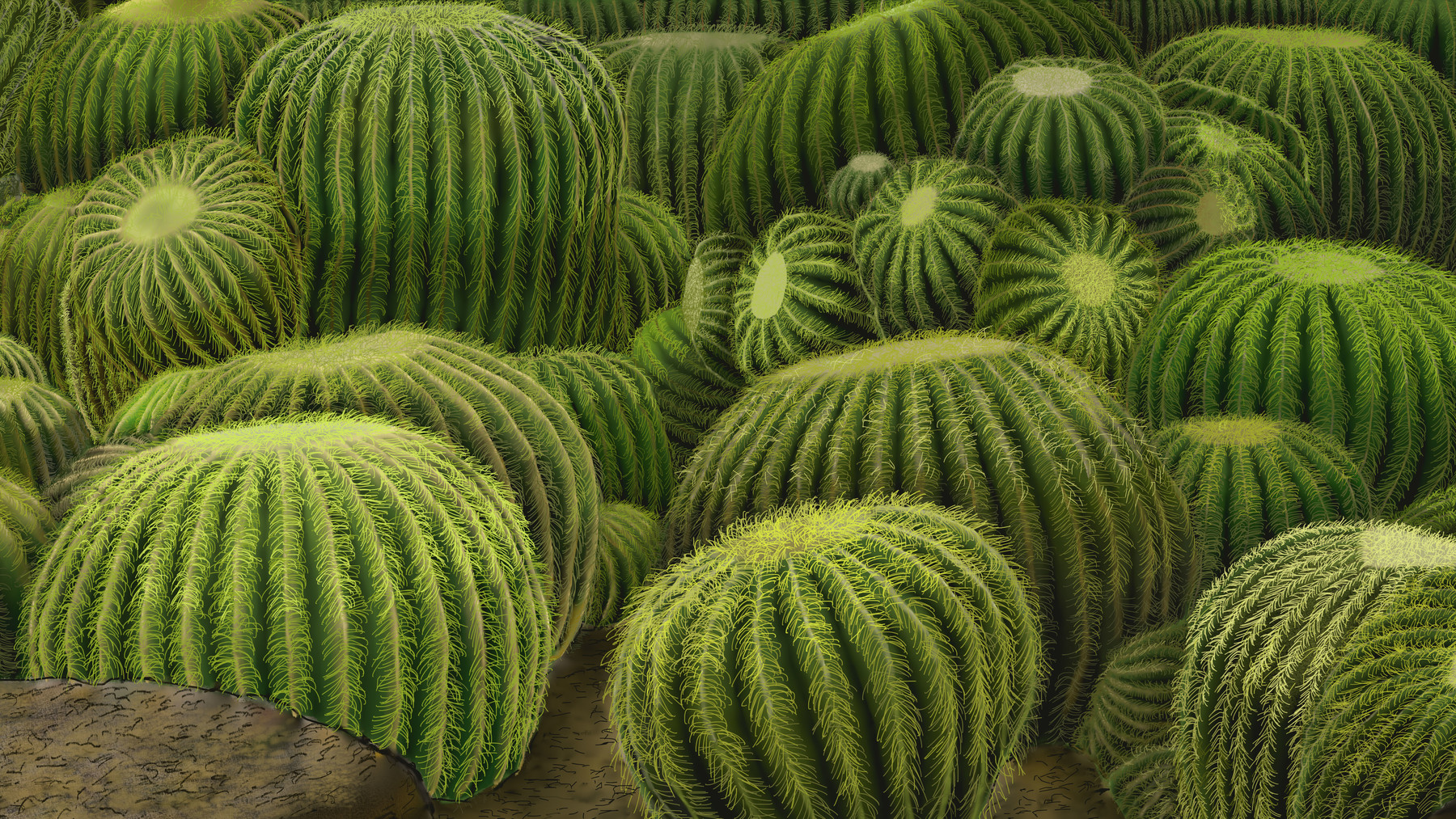 ArtStation - Cactus Field