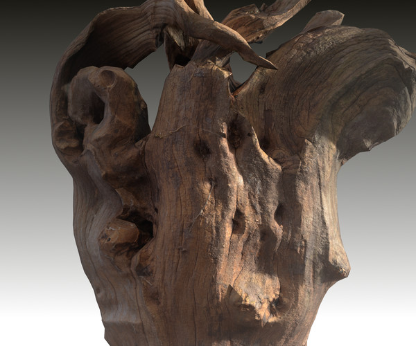 ArtStation - Twisted Tree Stump Scan | Resources