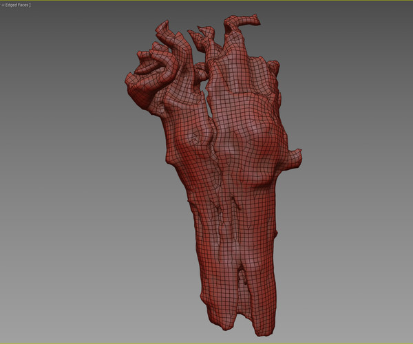 ArtStation - Twisted Tree Stump Scan | Resources