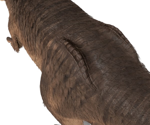 ArtStation - 3D Model: Tyrannosaurus Rex Fur | Resources