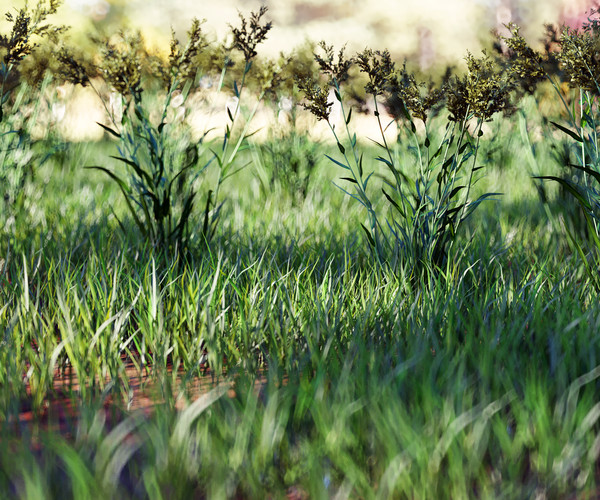 ArtStation - High Details Grass Vol_02 | Resources