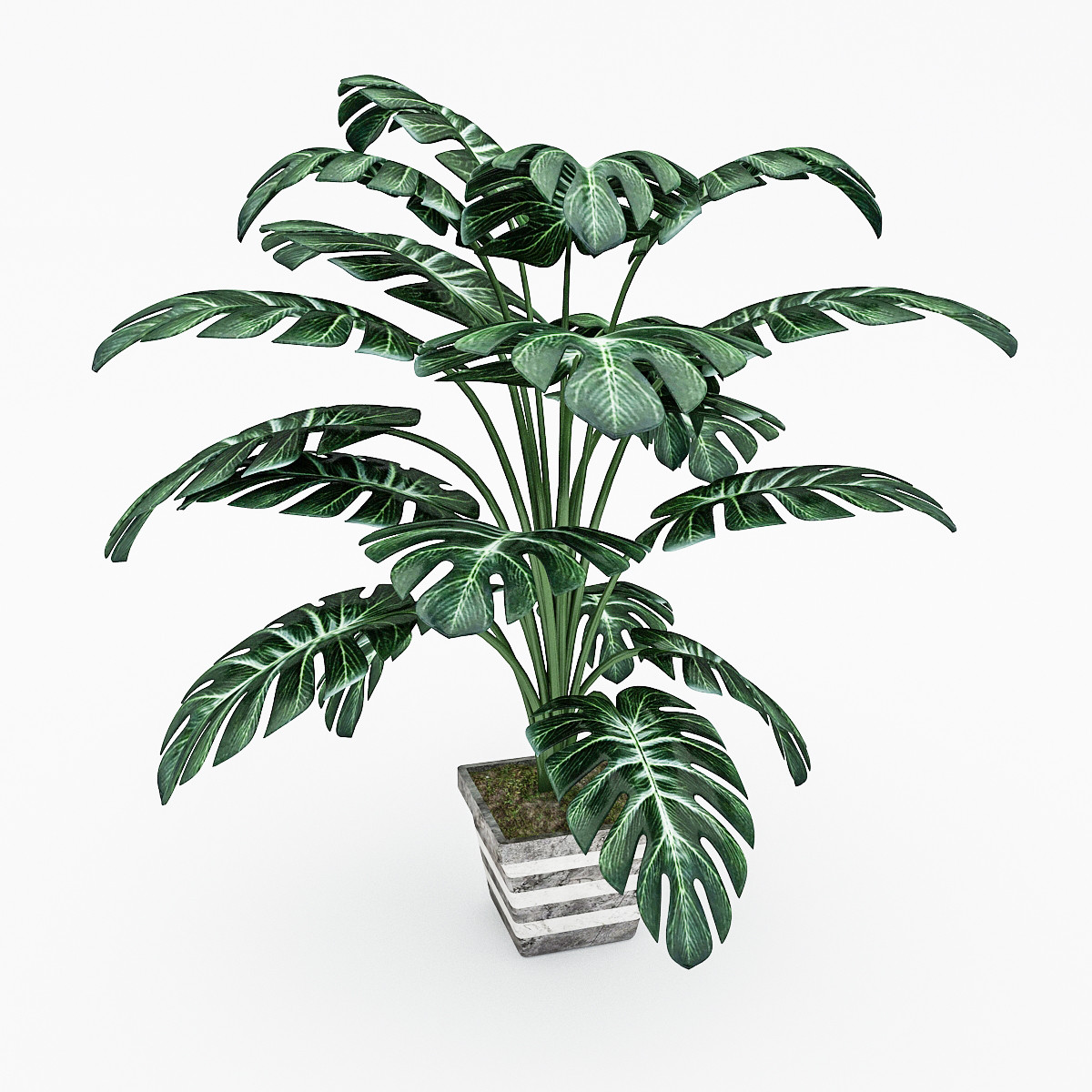 ArtStation - Monstera Leaves 3D Model | Resources
