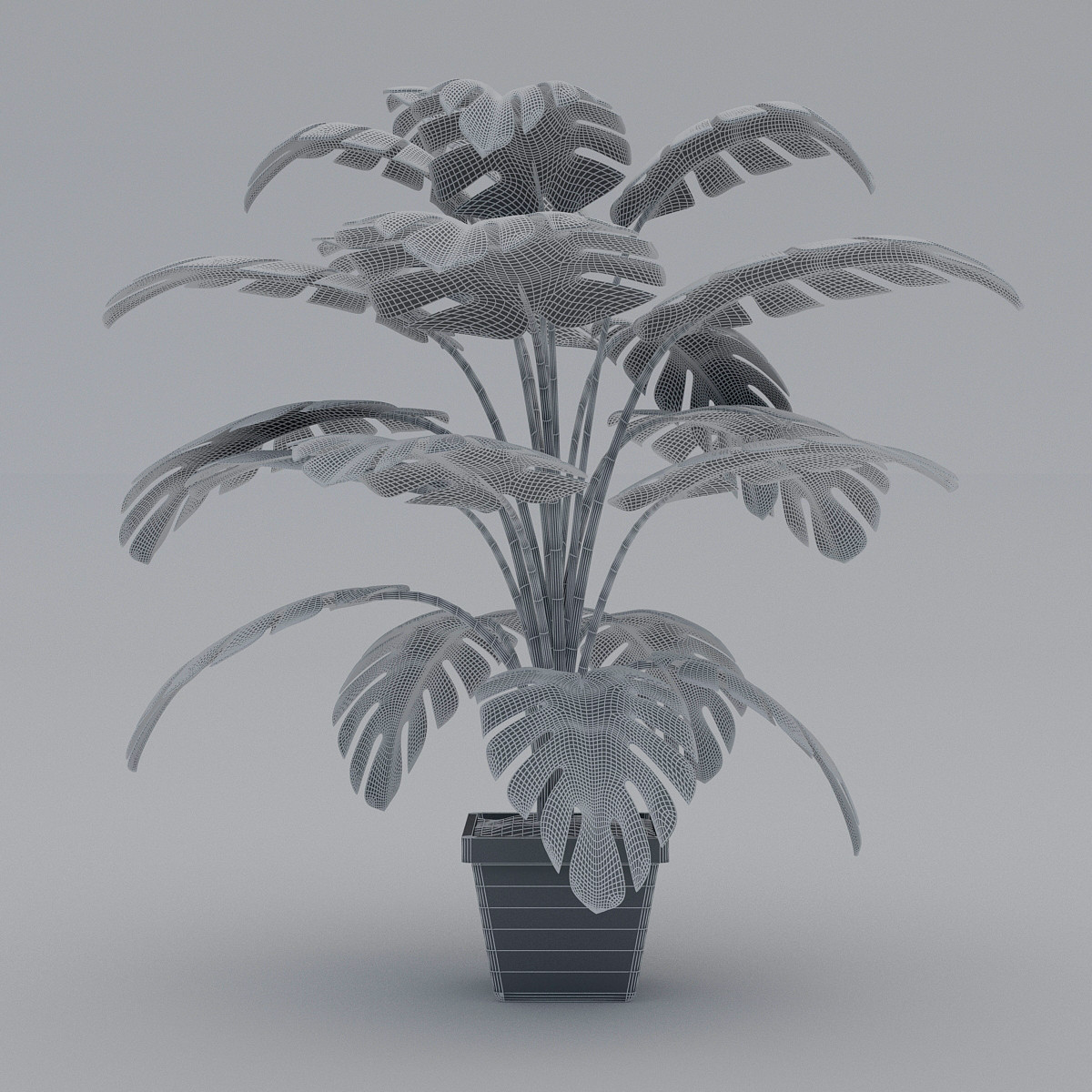 ArtStation - Monstera Leaves 3D Model | Resources