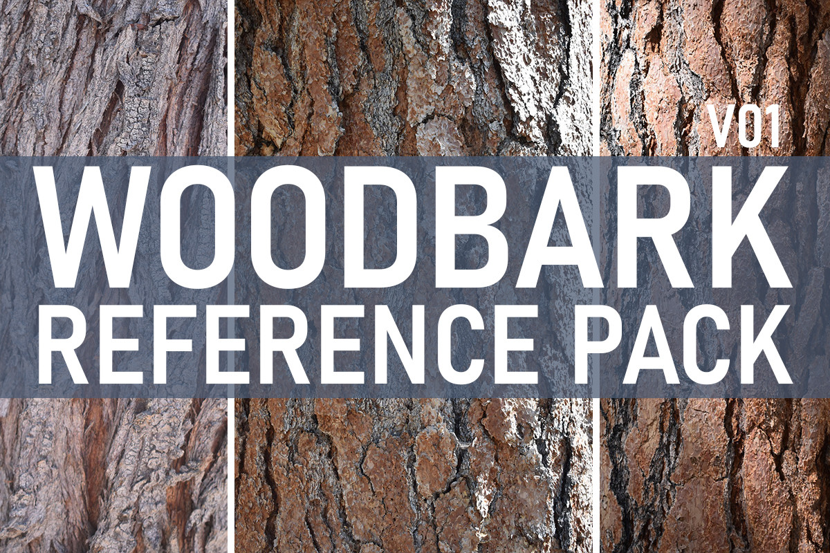 ArtStation - Wood Bark - Reference Pack | Resources