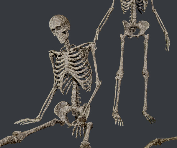 ArtStation - 10 Skeletons Old and Mossy Game Ready | Game Assets