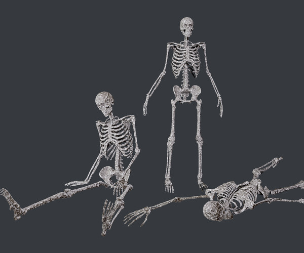 ArtStation - 10 Skeletons Old and Mossy Game Ready | Game Assets