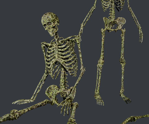 ArtStation - 10 Skeletons Old and Mossy Game Ready | Game Assets