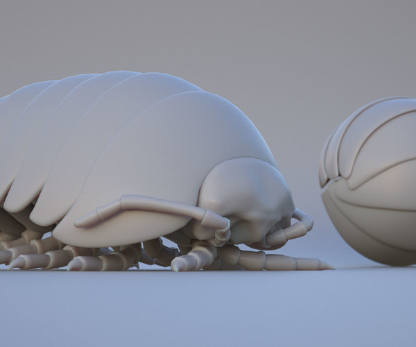 ArtStation - Roly Poly - Isopod Basemesh | Resources