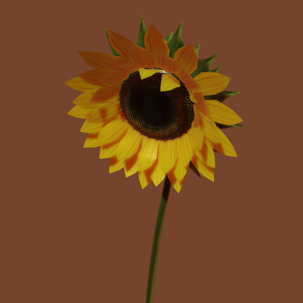 ArtStation - sunflower | Game Assets