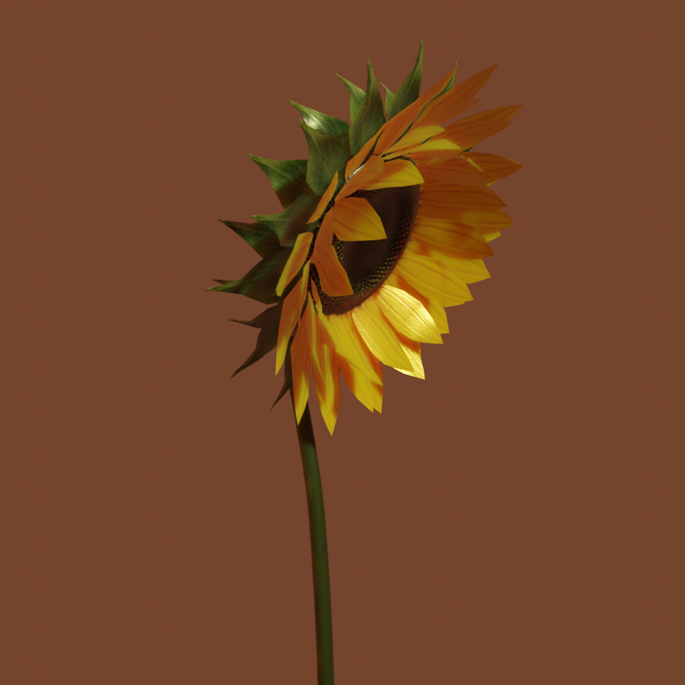 ArtStation - sunflower | Game Assets