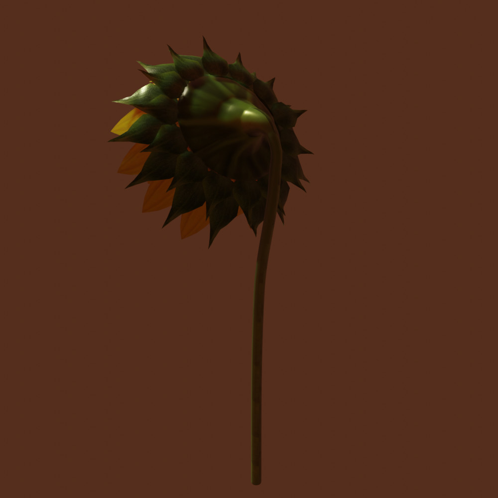 ArtStation - sunflower | Game Assets