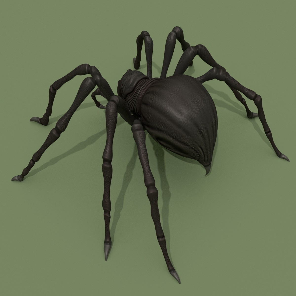 ArtStation - Fantasy Spider | Resources