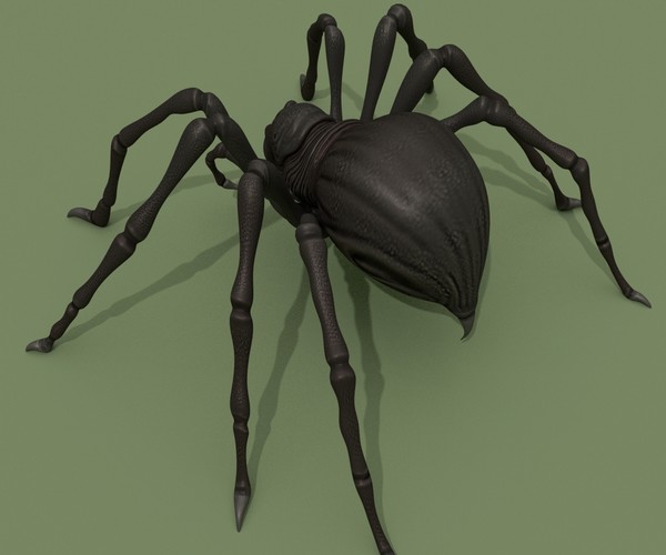 ArtStation - Fantasy Spider | Resources