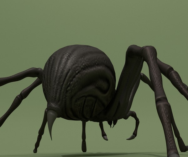ArtStation - Fantasy Spider | Resources