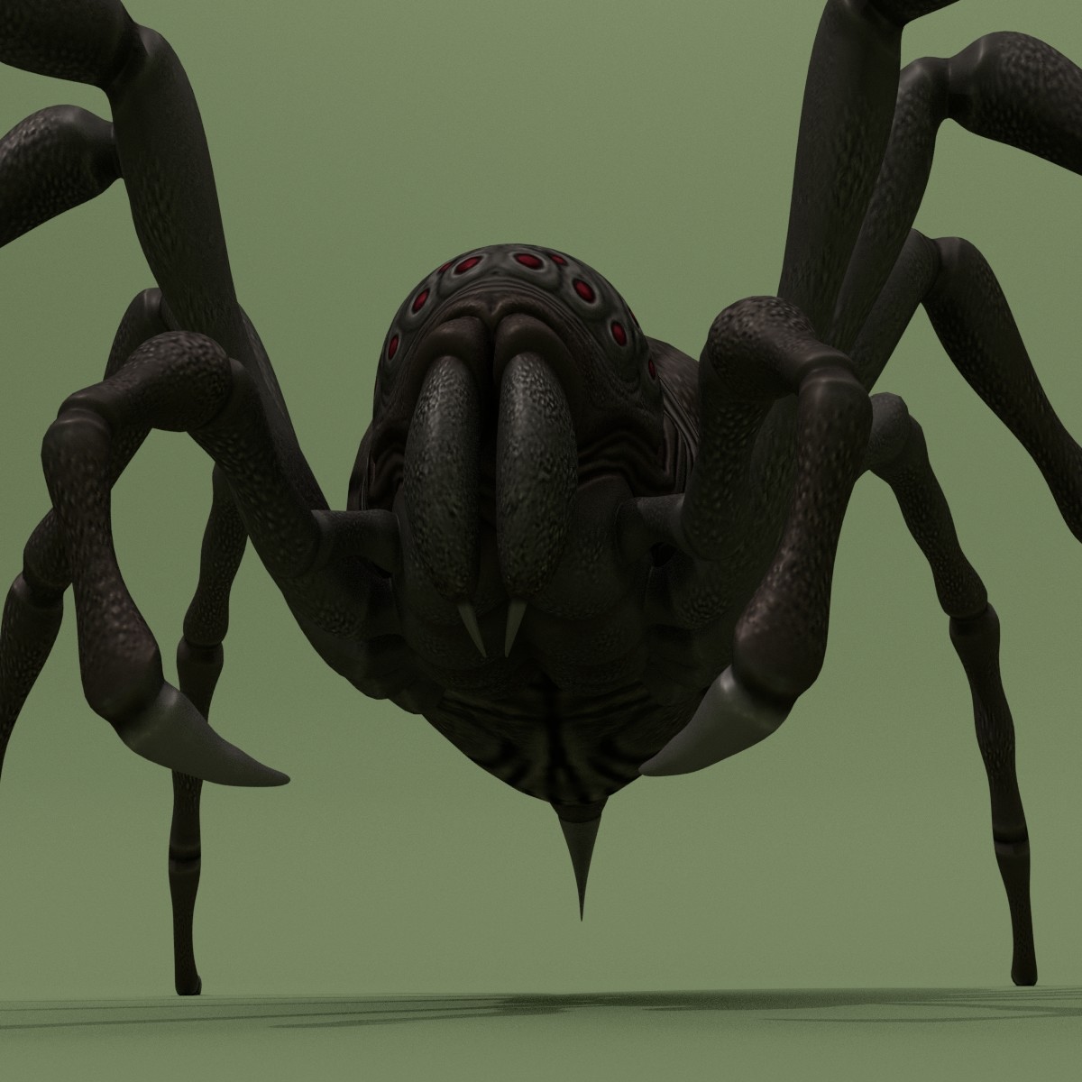 ArtStation - Fantasy Spider | Resources