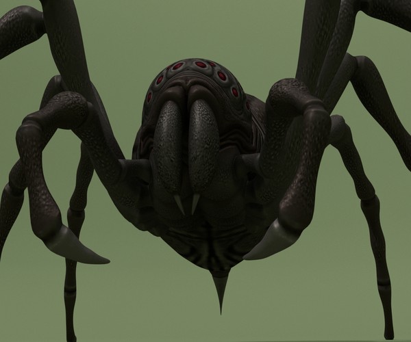 ArtStation - Fantasy Spider | Resources