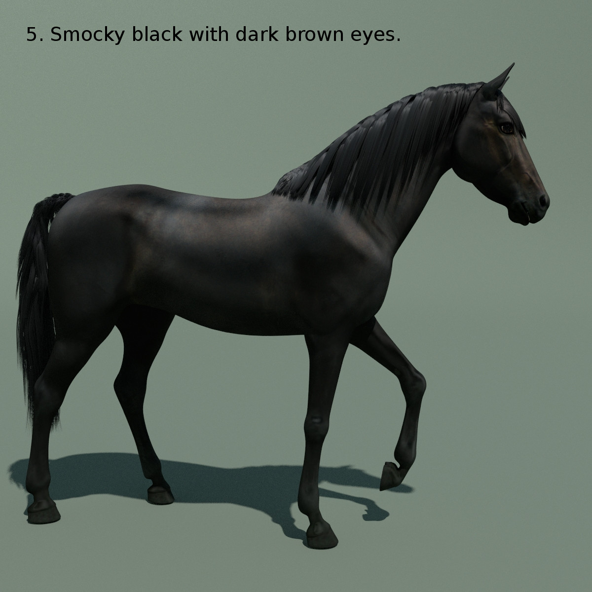 ArtStation - Horse animated + 10 colours | Resources