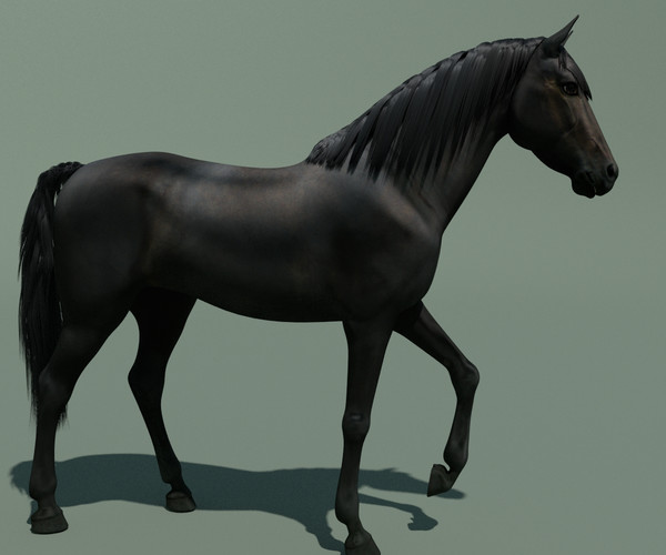 ArtStation - Horse animated + 10 colours | Resources