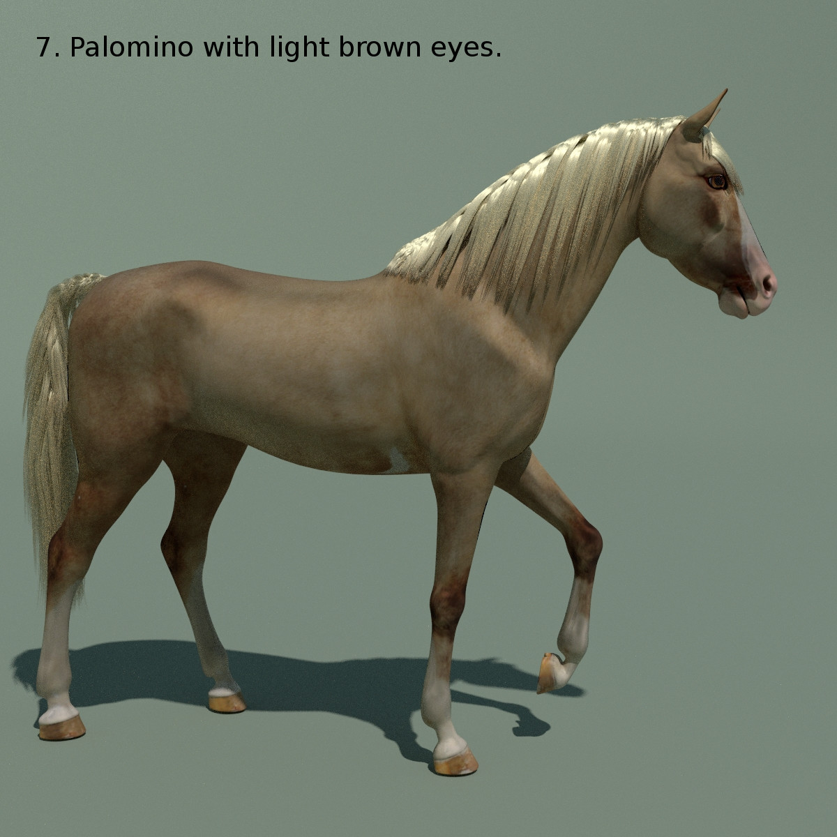 ArtStation - Horse animated + 10 colours | Resources