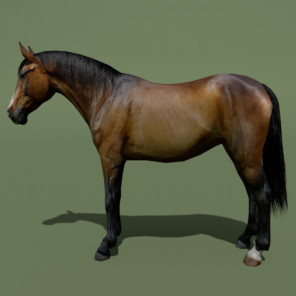 ArtStation - LowPoly Horses Pack | Resources