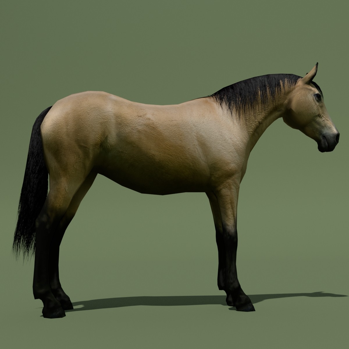 ArtStation - LowPoly Horses Pack | Resources