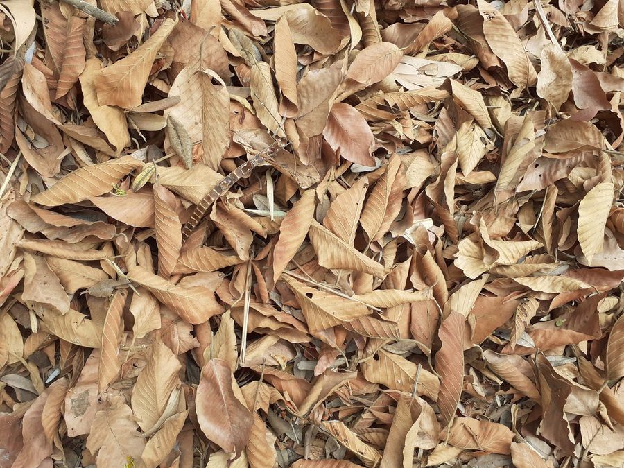 ArtStation - Environment Textures | Resources