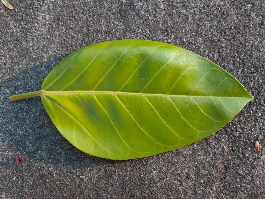 ArtStation - Environment Textures | Resources