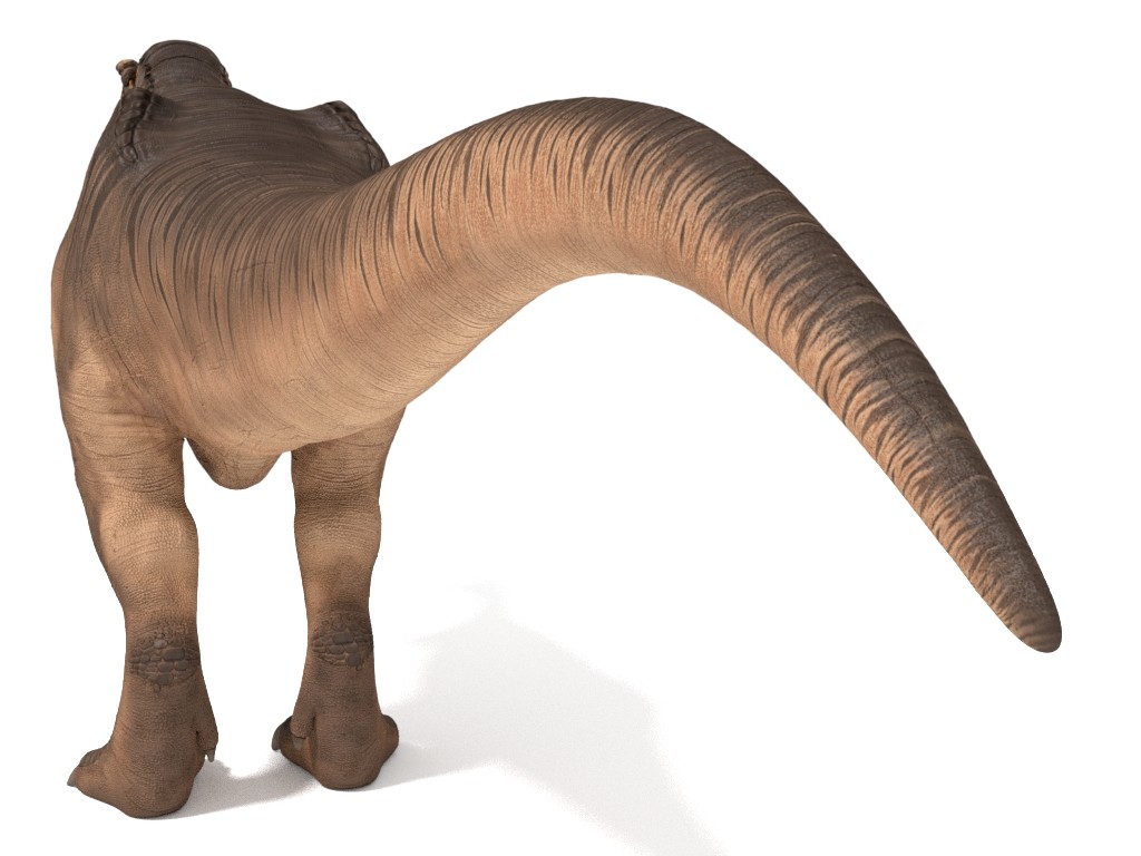 ArtStation - 3D Model: Tyrannosaurus Rex Rigged | Resources