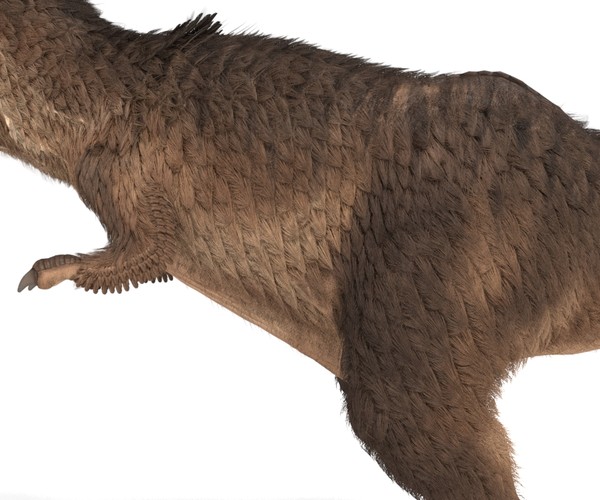ArtStation - 3D Model: Tyrannosaurus Rex Rigged Fur | Resources