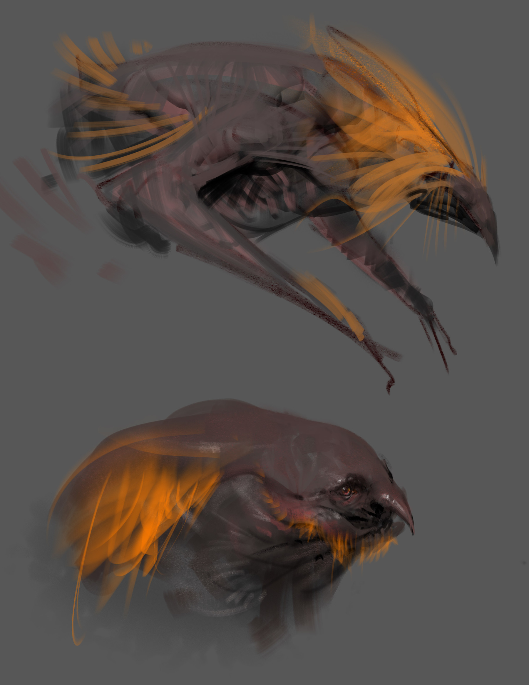 ArtStation - Creature Design - Basics | Tutorials