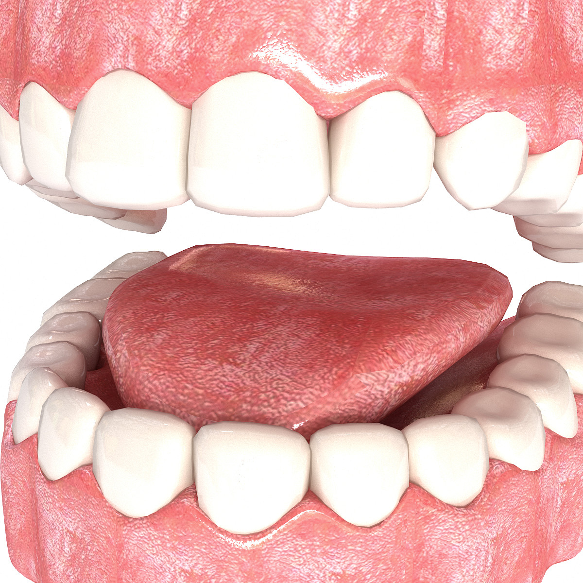 ArtStation - Realistic Mouth teeth | Resources