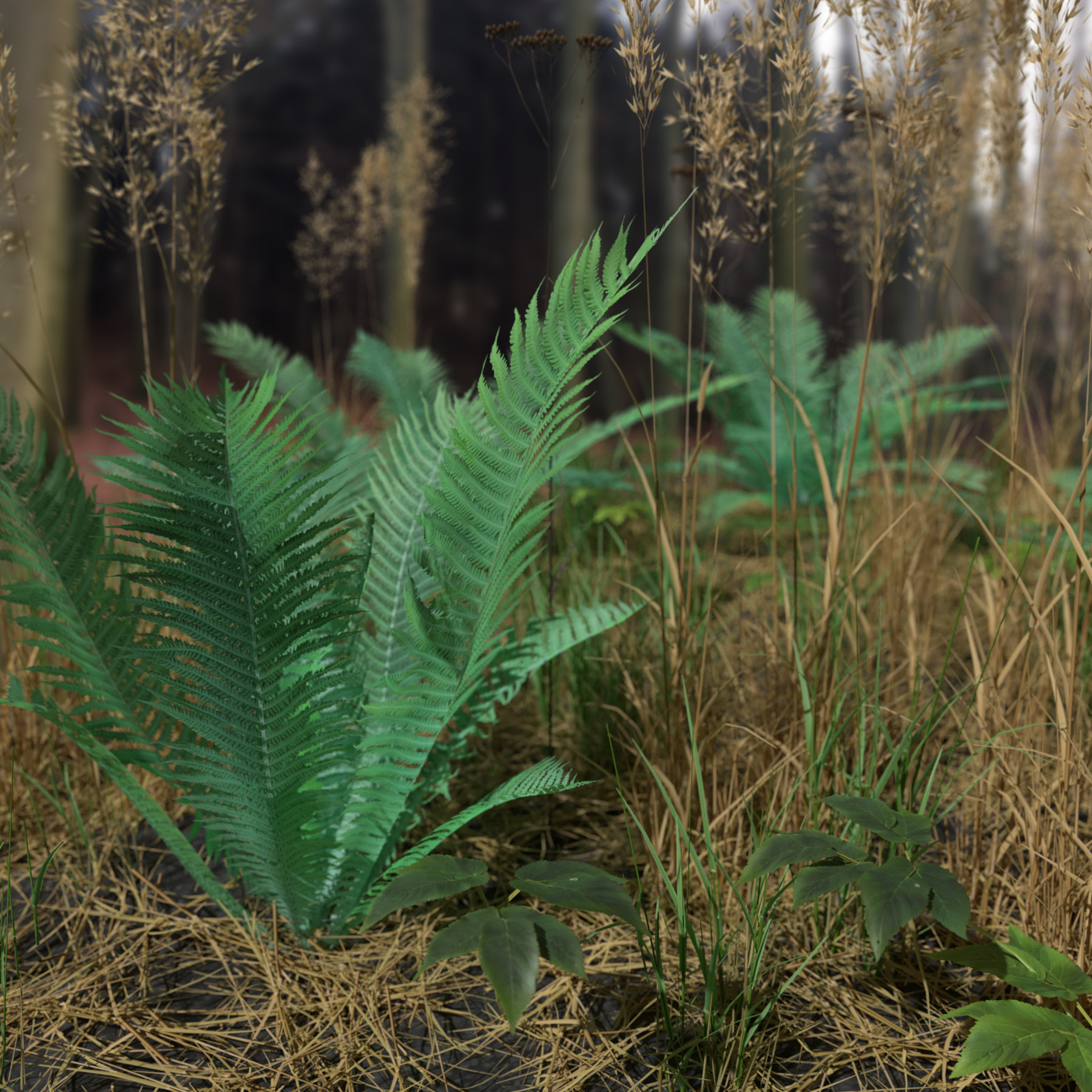 ArtStation - Fern Meadow Patch | Resources