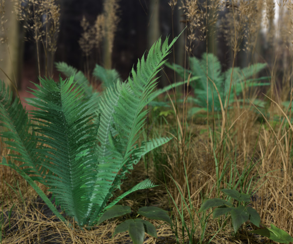 ArtStation - Fern Meadow Patch | Resources