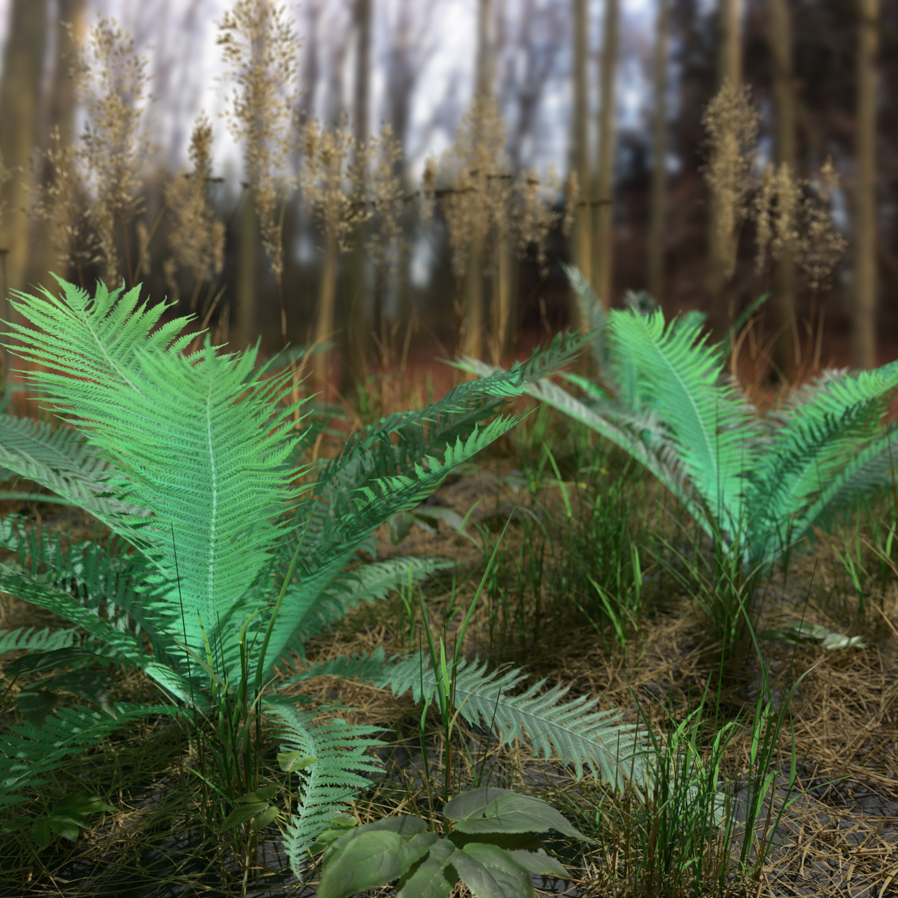 ArtStation - Fern Meadow Patch | Resources